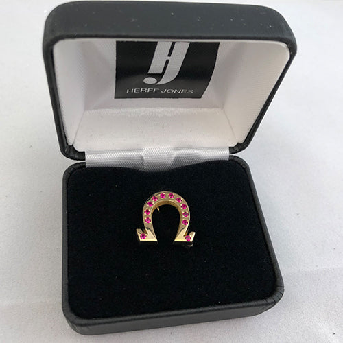 Order of Omega Jeweled 10k Gold Pin – Omega Shop