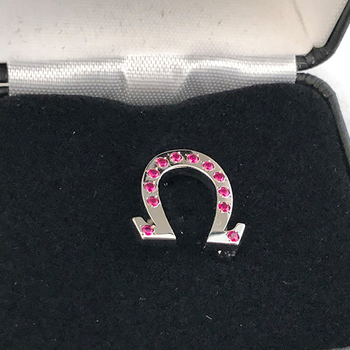 Order of Omega Jeweled Sterling Silver Pin – Omega Shop